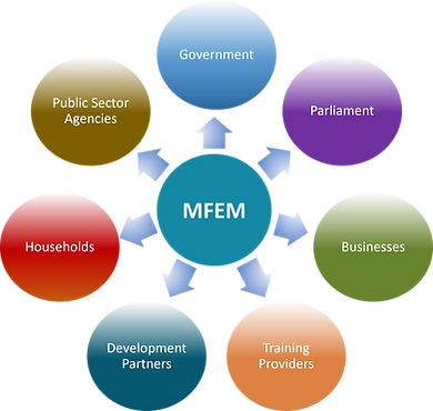 Information & Process | MFEM